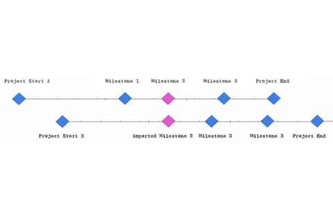 What is a Milestone Plan? - Smartpedia - t2informatik