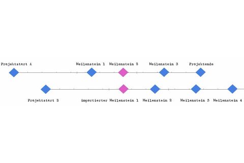 Was ist ein Meilensteinplan? - Wissen kompakt - t2informatik